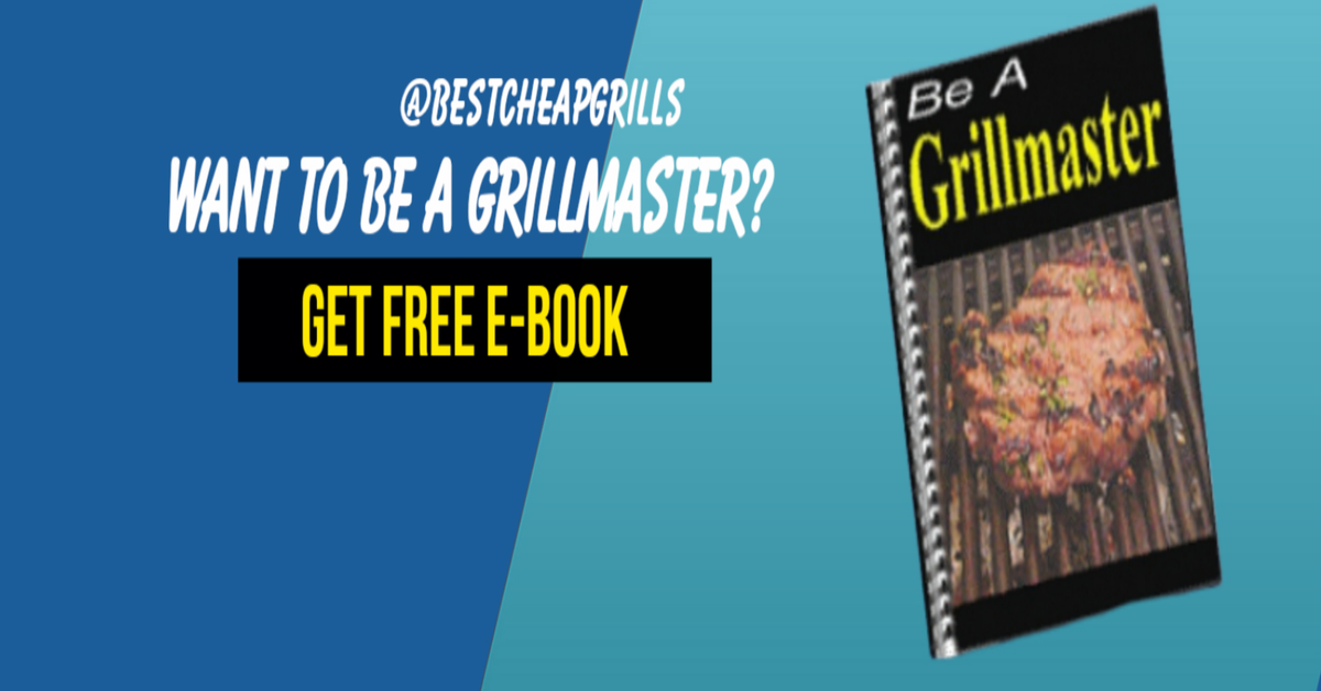 Best Cheap Grills - Everything You'll Ever Need For Grilling